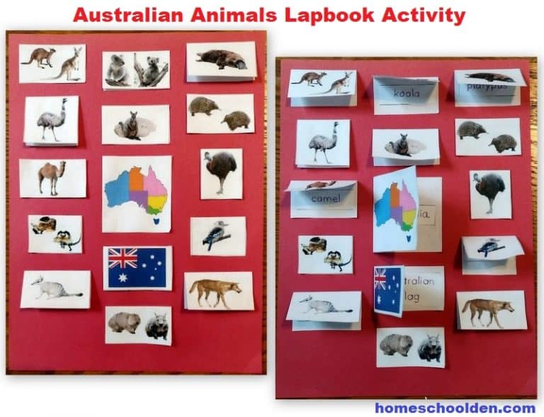Australia Packet - Homeschool Den