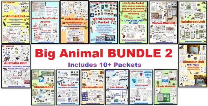 Animals and Their Characteristics (Free Worksheet) - Homeschool Den