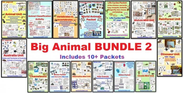 Big Animal Bundle - Homeschool Den