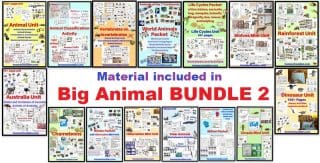 Big Animal Bundle - Homeschool Den