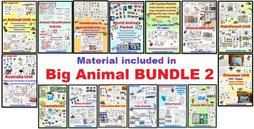 Big Animal Bundle - Homeschool Den
