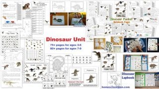 Dinosaur Unit - Homeschool Den