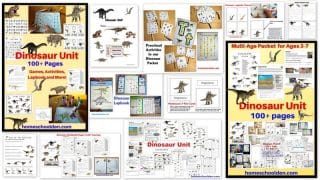 Dinosaur Packet for 3-7 Year Olds - Dinosaur Lapbook, Montessori Cards ...