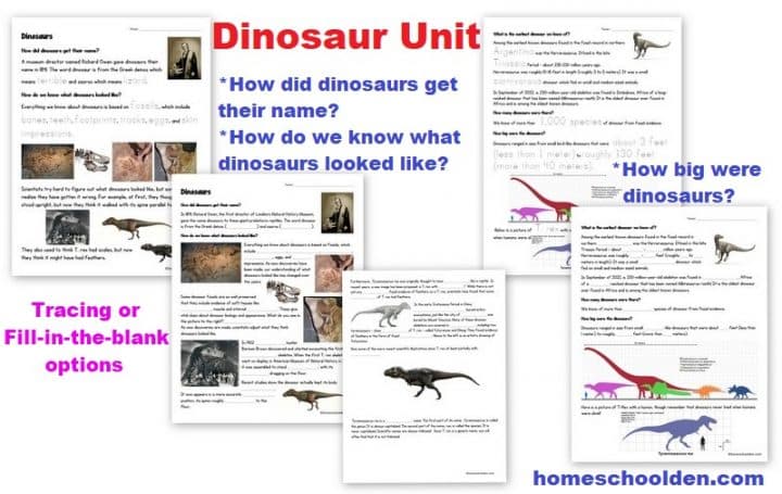 Dinosaur Packet for 3-7 Year Olds - Homeschool Den