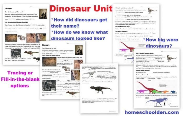 Dinosaur Packet for 3-7 Year Olds - Dinosaur Lapbook, Montessori Cards ...