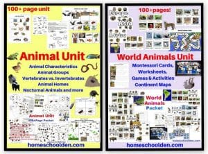 Animals Around the World (World Animal Packet) - Homeschool Den