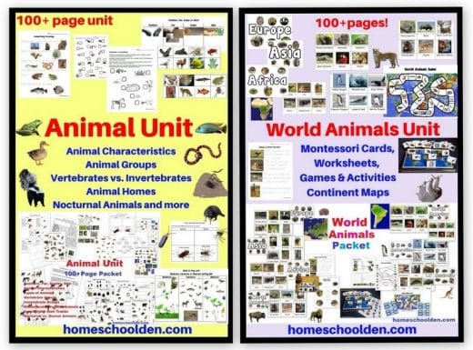 Animals Around the World (World Animal Packet) - Homeschool Den