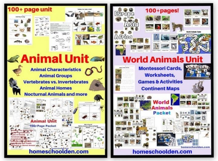 Animals Around the World (World Animal Packet) - Homeschool Den