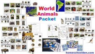 Animals Around the World (World Animal Packet) - Homeschool Den
