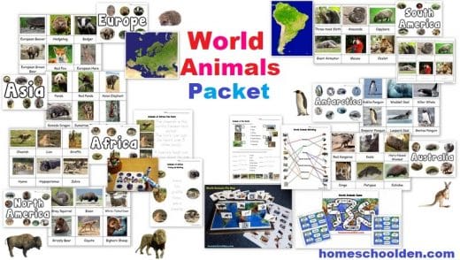 Animals Around the World (World Animal Packet) - Homeschool Den