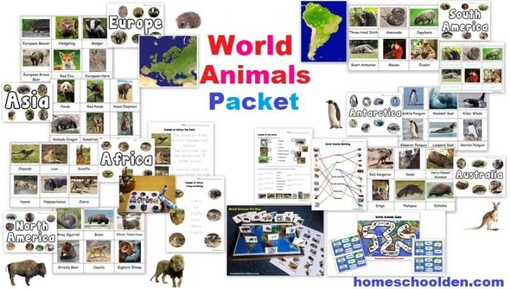 Animals Around the World (World Animal Packet) - Homeschool Den