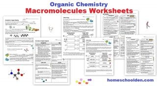 Organic Chemistry Unit - Homeschool Den