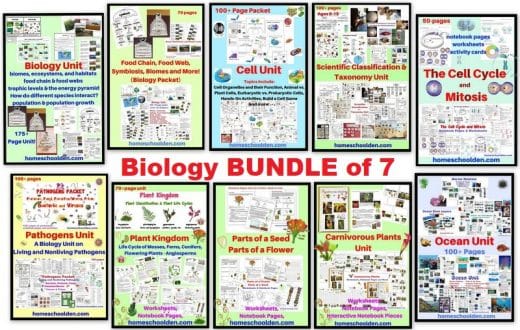 Biology Bundle of 7 - Homeschool Den