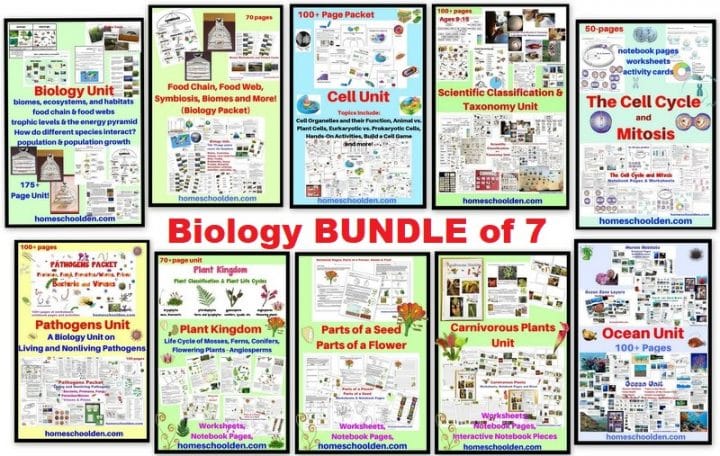 Biology Bundle of 7 - Homeschool Den
