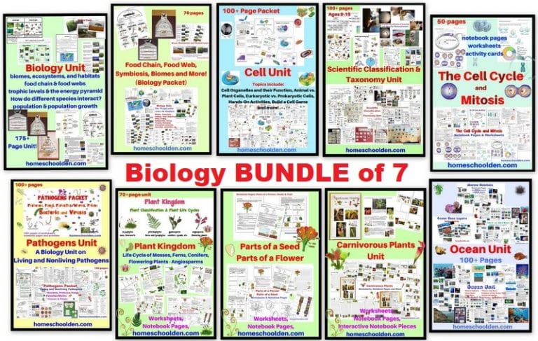 Biology Bundle of 7 - Homeschool Den