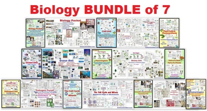Biology Bundle of 7 - Homeschool Den