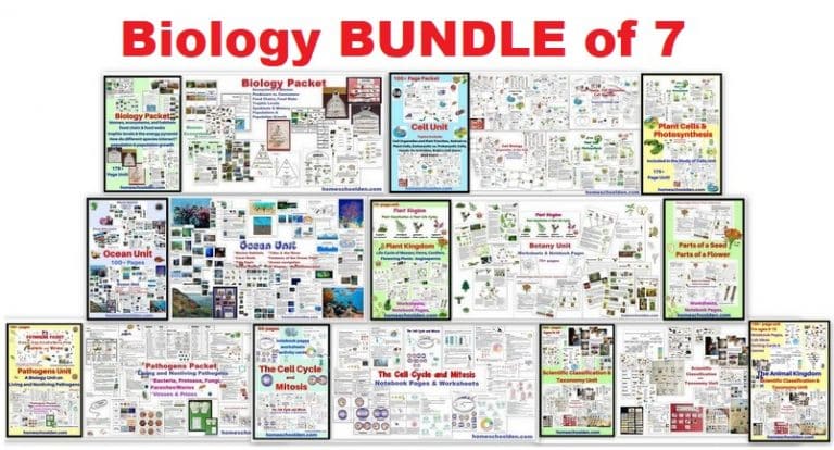 Biology Unit on the Biosphere: biomes, ecosystems, habitats, feeding ...