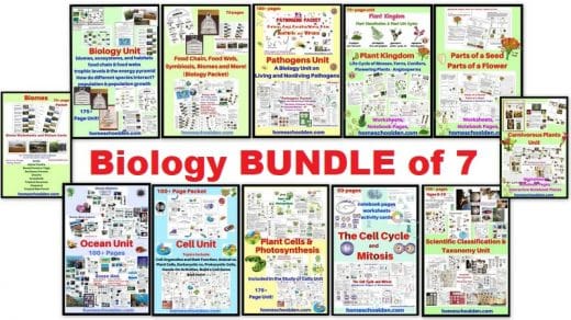 Scientific Classification and Taxonomy Packet - Homeschool Den