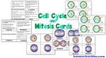 Cell Cycle and Mitosis Worksheet Packet - Homeschool Den