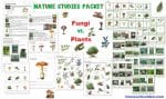 Fungi vs. Plants Packet - Worksheets and Montessori 3-part Cards ...