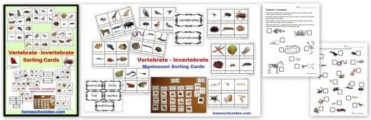 Vertebrate - Invertebrate Sorting Cards - Homeschool Den