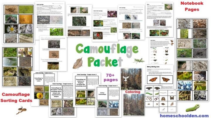 Camouflage Packet - Homeschool Den