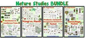 Big Animal Bundle - Homeschool Den