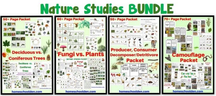 Big Animal Bundle - Homeschool Den