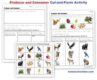 Producer Consumer Decomposer Packet - Homeschool Den