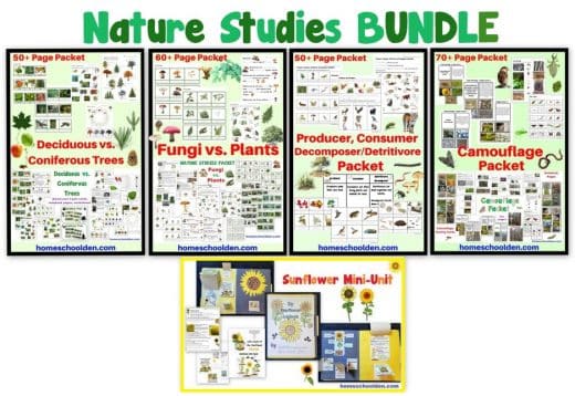 Nature Studies BUNDLE - Homeschool Den