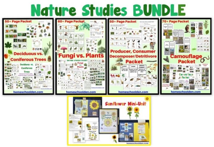 Nature Studies BUNDLE - Homeschool Den